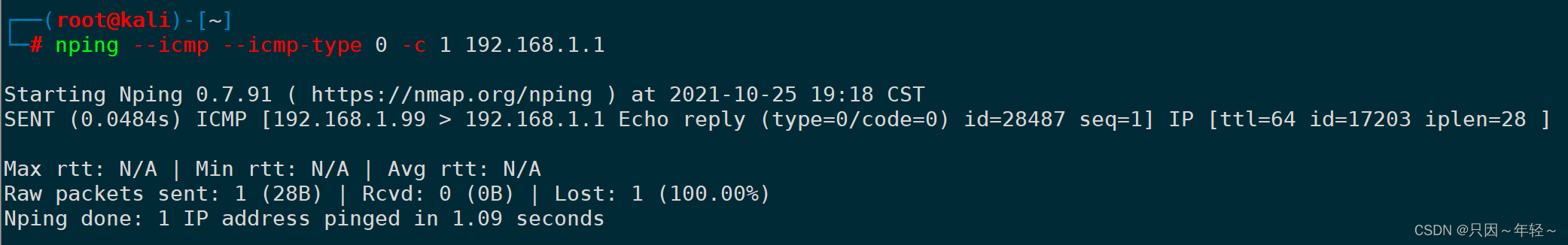 网络探测的中流砥柱-Nping使用_nping语法-CSDN博客