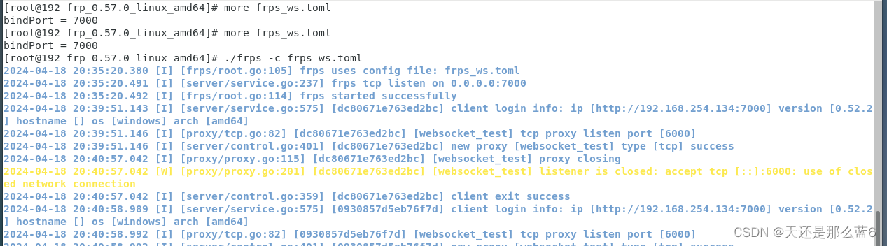 FRP(websocket) RDP实验_frpwebsocket插件-CSDN博客