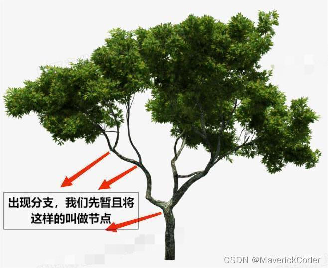 数据结构 C语言描述（树） Csdn博客