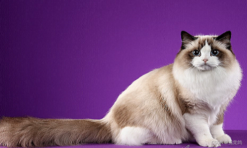 BMP格式图片的缩放_将bmp图片的数据缩放-CSDN博客