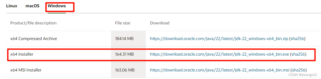 Windows 11 JDK22 安装_java22安装-CSDN博客