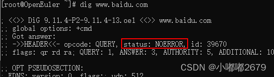 Euler系统设置DNS服务器地址_欧拉系统配置dns-CSDN博客