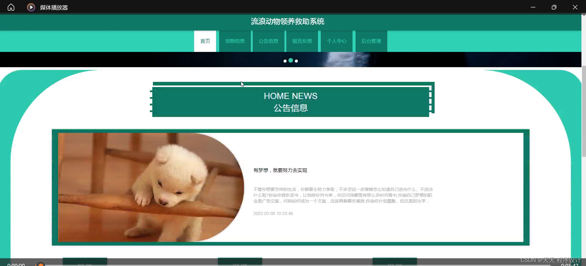 ssm/php/node/python流浪动物领养救助系统-CSDN博客
