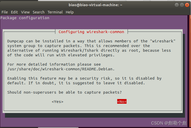 Ubuntu下安装Wireshark_ubuntu安装wireshark-CSDN博客