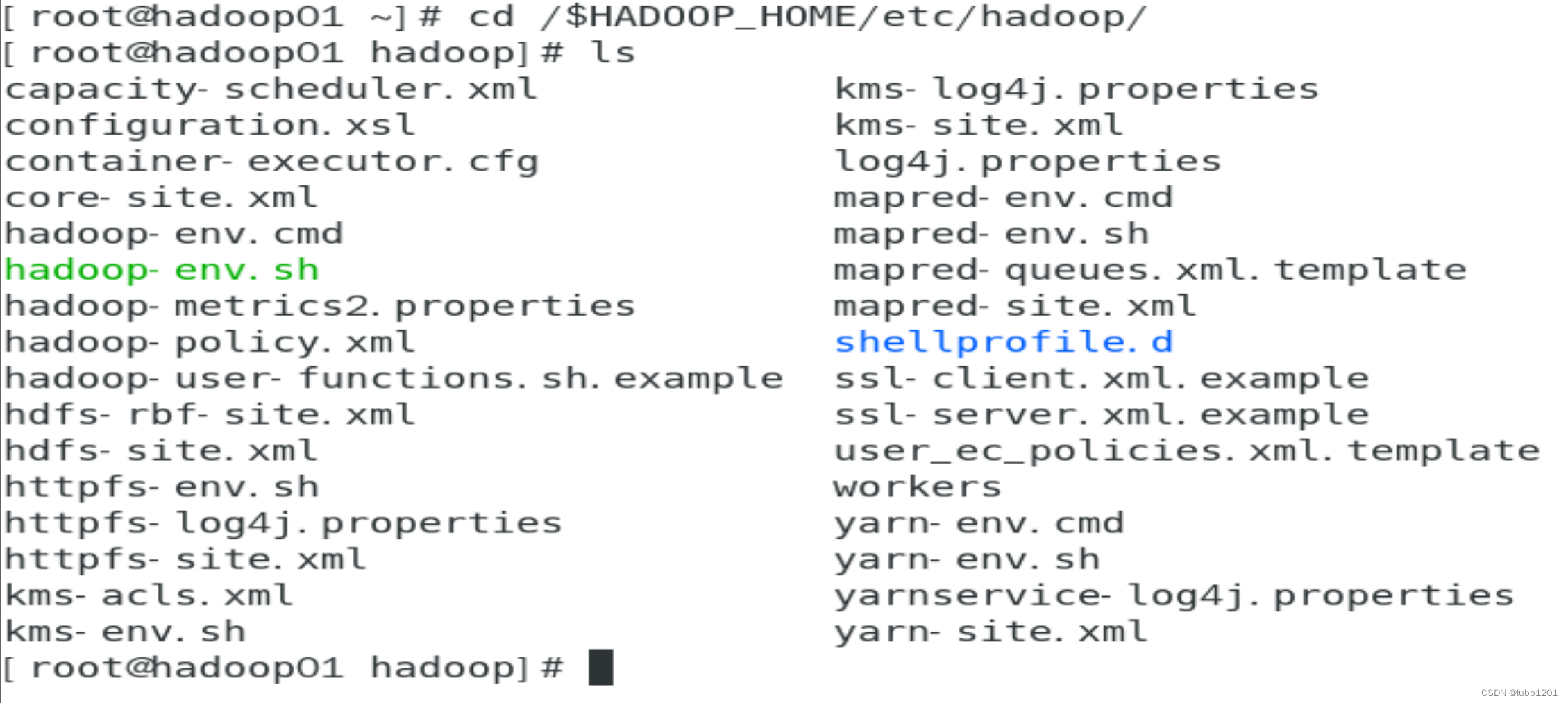 修改Hadoop配置文件_hadoop3.1.3配置文件修改-CSDN博客