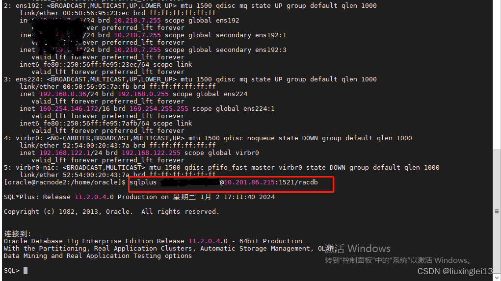 Oracle Rac 11G VIP测试_rac vip-CSDN博客
