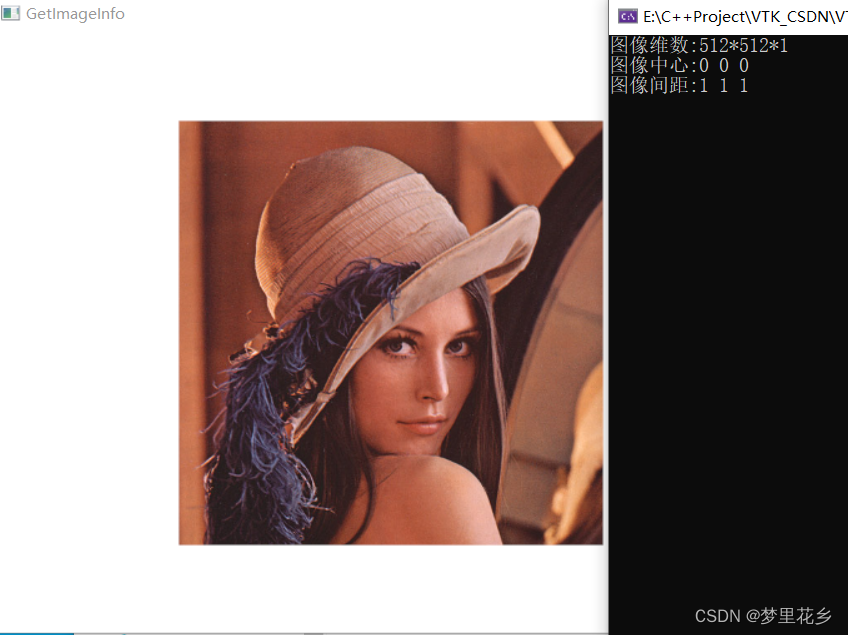 7.VTK图像基本操作_vtk中怎么定义origin[2] spacing[2] dim[2]-CSDN博客