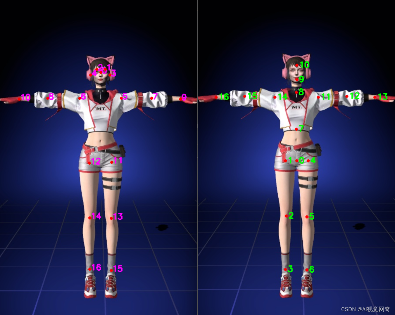 mmpose 2d姿态转json文件 coco转h36m_mmpose 加载h36m数据-CSDN博客