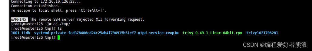 Trivy漏洞扫描工具安装_trivy安装-CSDN博客