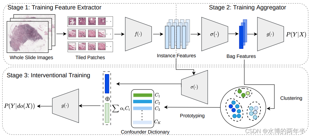 （WSI分类）WSI分类文献小综述_scaling vision transformers to gigapixel images vi-CSDN博客
