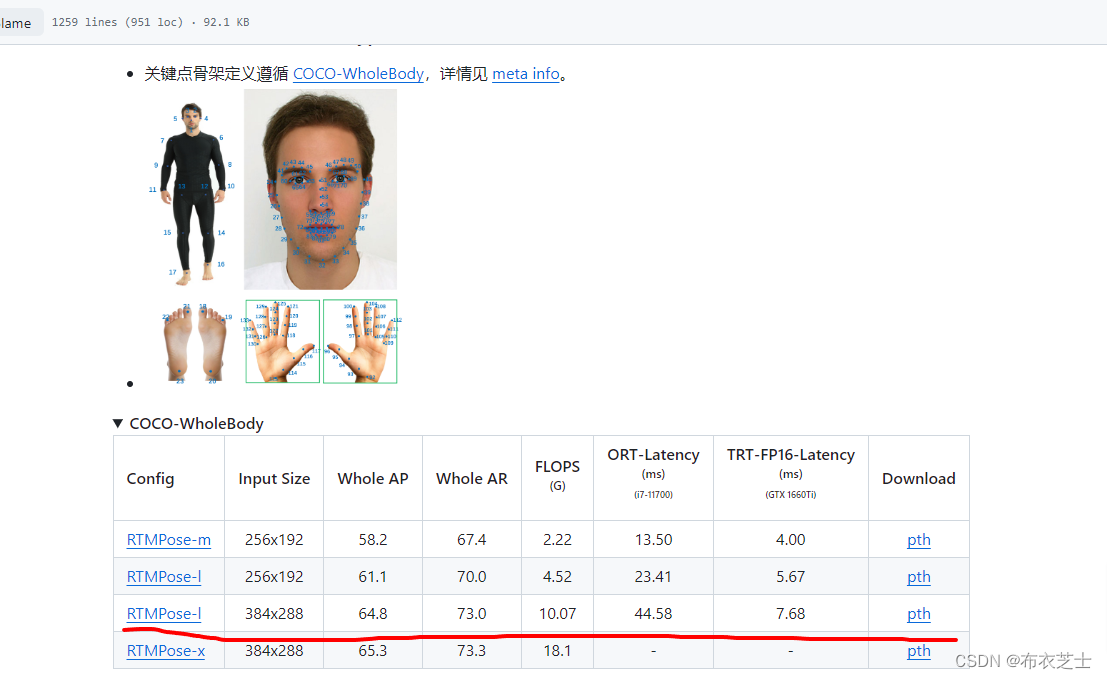 Visual Studio配置Cuda、Cudann、TensorRT环境以及RTMdet、RTMpose-Pyotorch转换TensorRT，本地部署_rtmdet tensorrt 部署 ...