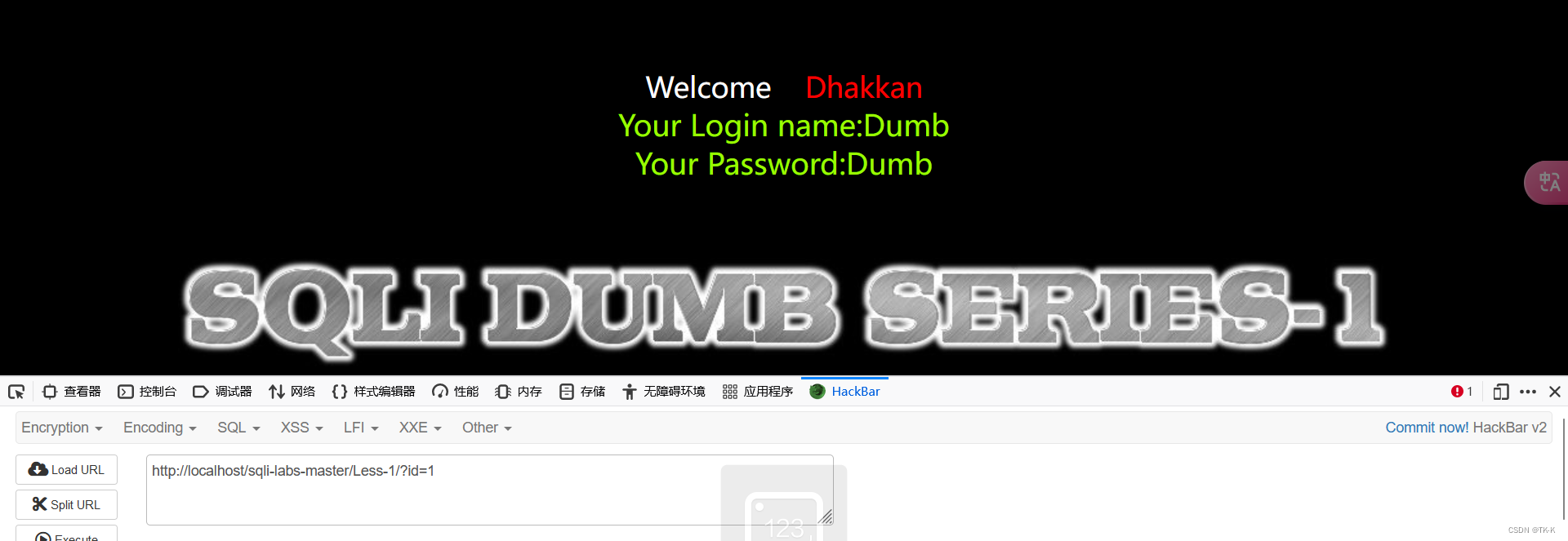 SQLi-LABS-CSDN博客