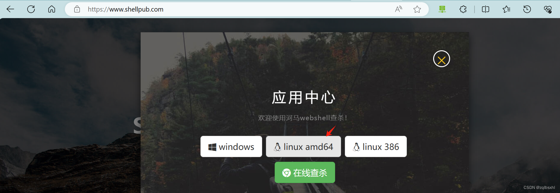 Linux 河马webshell扫描器安装/简单使用-CSDN博客