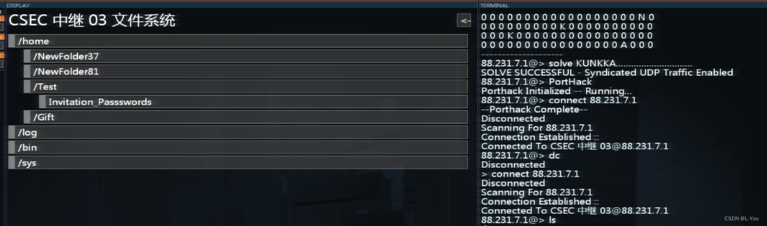 Hacknet通关攻略，建议别看太多，要不然直接通关_harknet攻略-CSDN博客