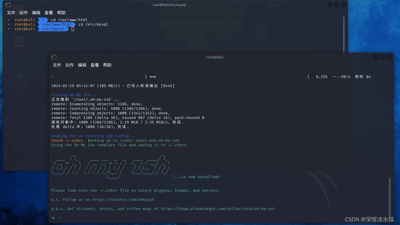 Kali Linux终端美化及多种主题（简洁快速）_kali主题更改-CSDN博客