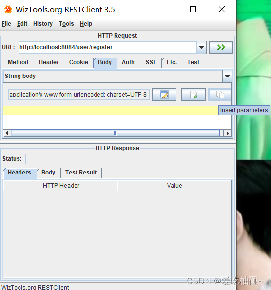 RESTClient的使用教程_rest clinet使用-CSDN博客