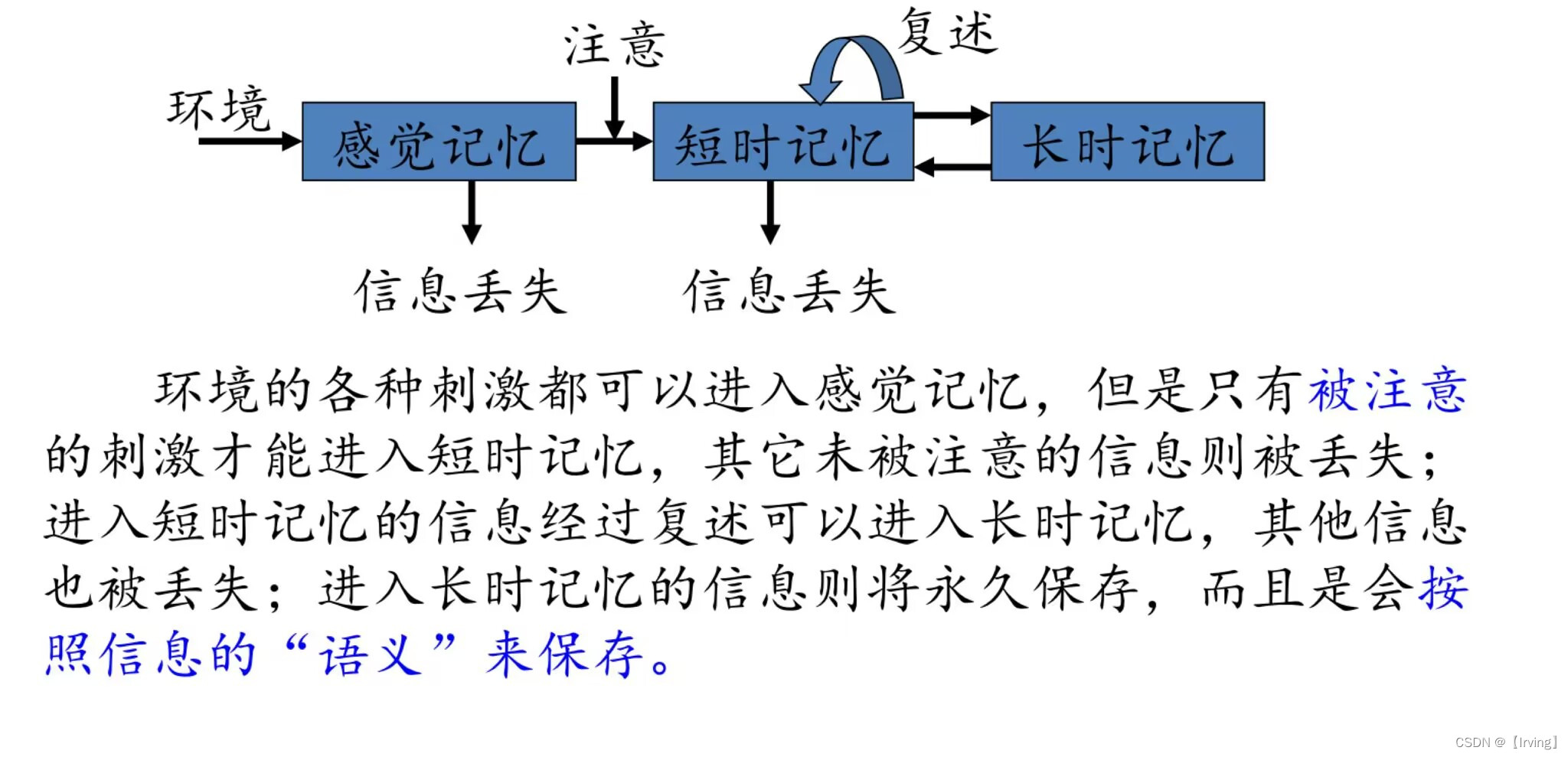 认知科学基础（CQUPT）期末复习知识点_脑与认知科学基础期末考试知识点-CSDN博客