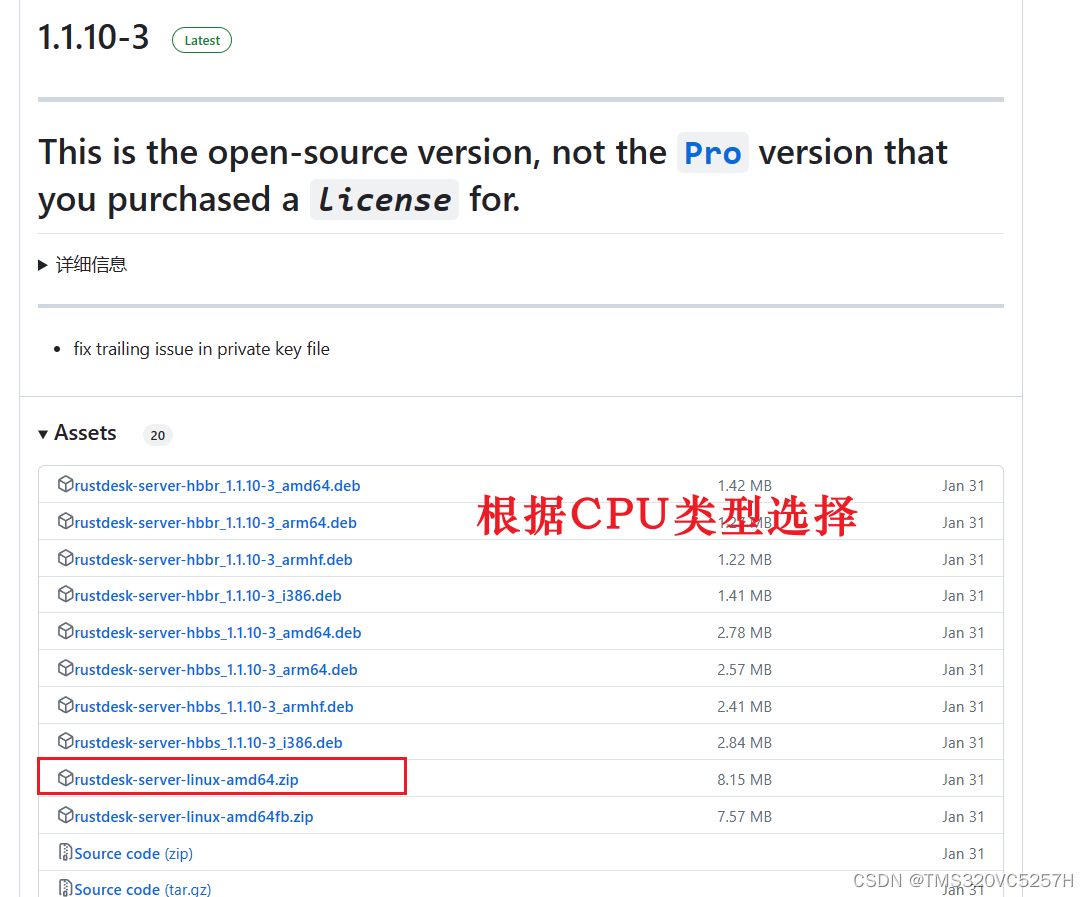 使用pm2安装、启动和停止rustdesk-server服务-CSDN博客