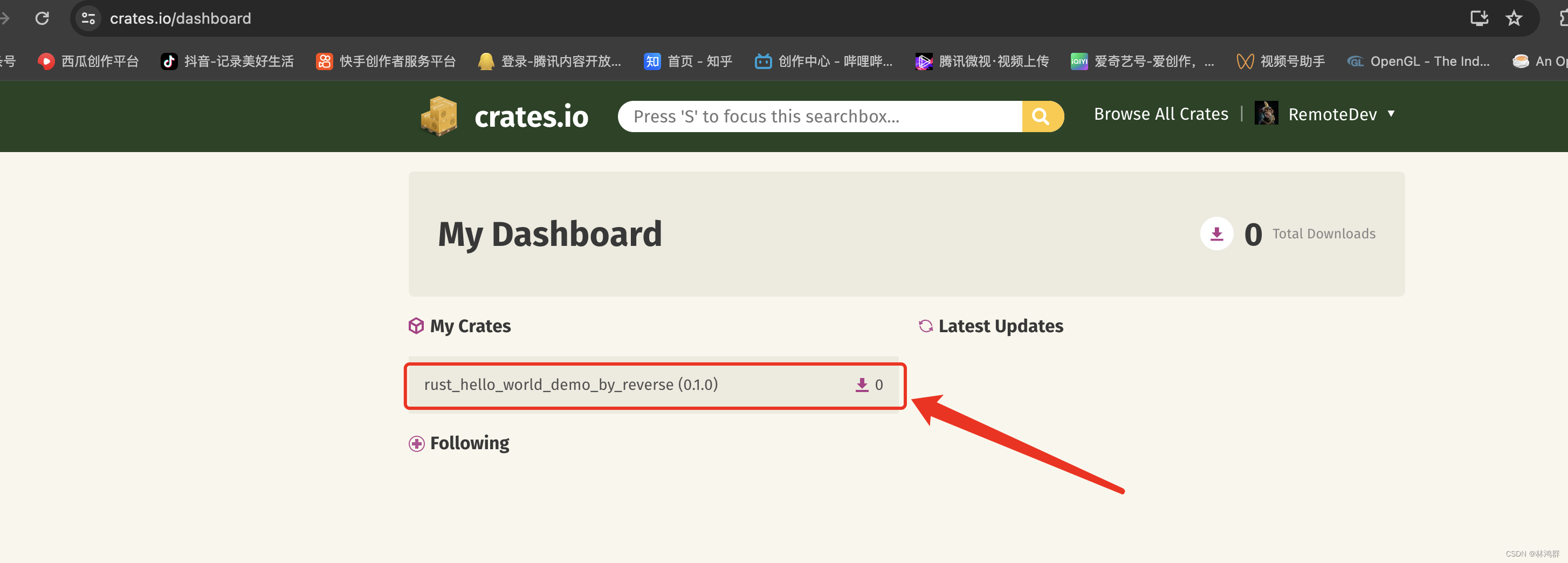 RUST工程构建工具CARGO及代码编写工具RUSTROVER使用_rust rover怎么使用cargo-CSDN博客