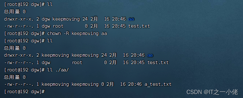 Linux系统中权限字和权限操作命令详解(chmod、chgrp、chown)_linux文件给执行权限命令-CSDN博客