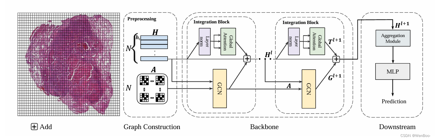 研一下第五周论文阅读情况_feature re-embedding: towards foundation model-lev-CSDN博客