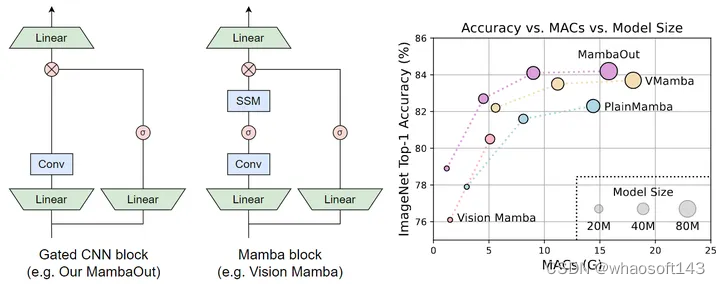 MambaOut_ssm 在检测和分割方面的潜力-CSDN博客