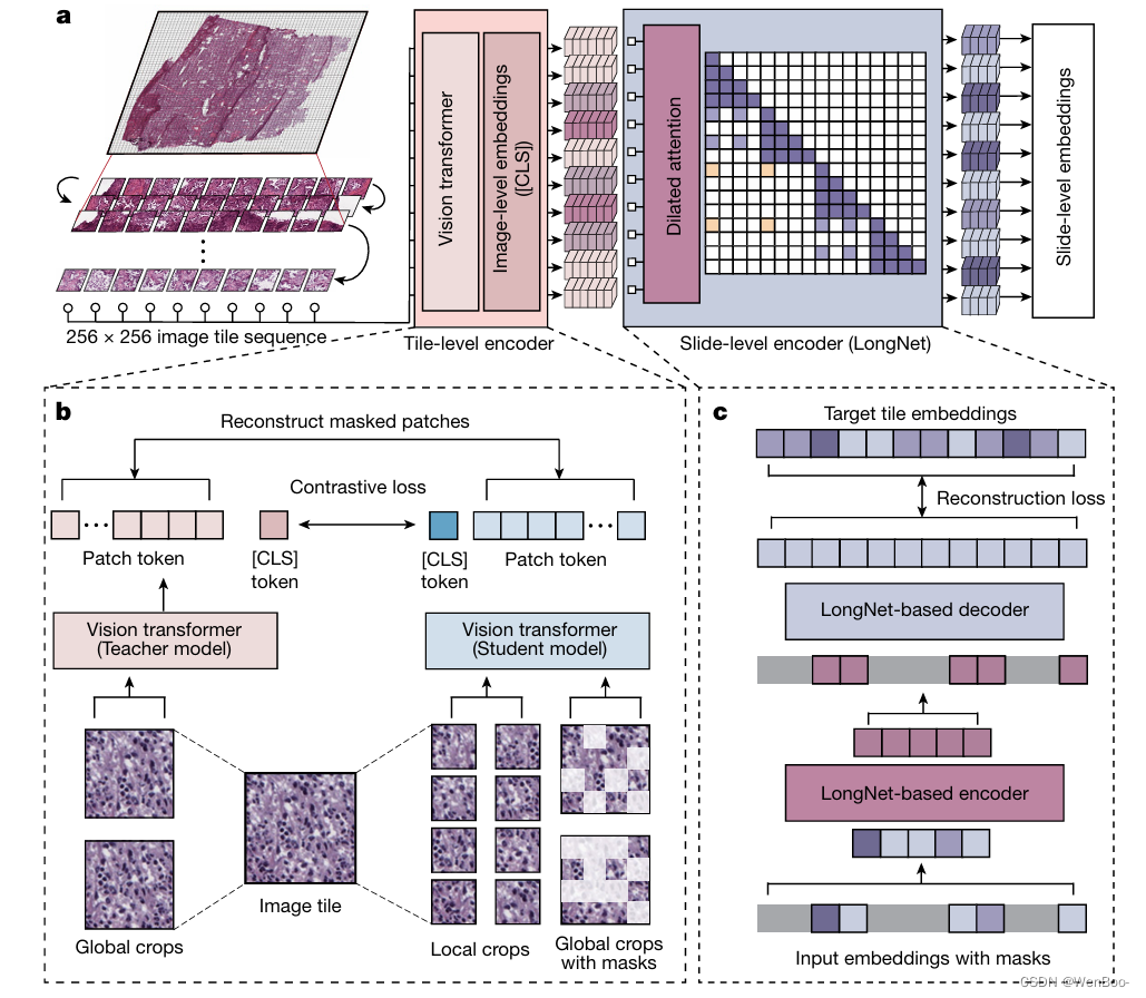 研一下第十八周论文阅读情况_a visual-language foundation model for computation-CSDN博客