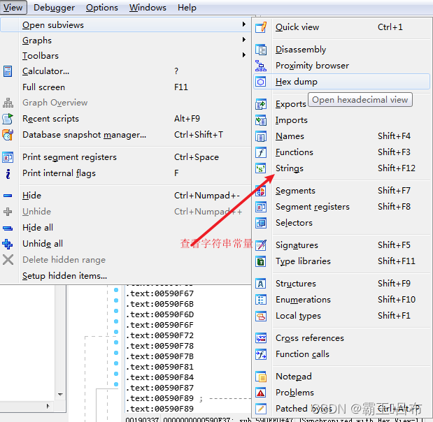 IDA pro工具使用_ida pro安装使用-CSDN博客