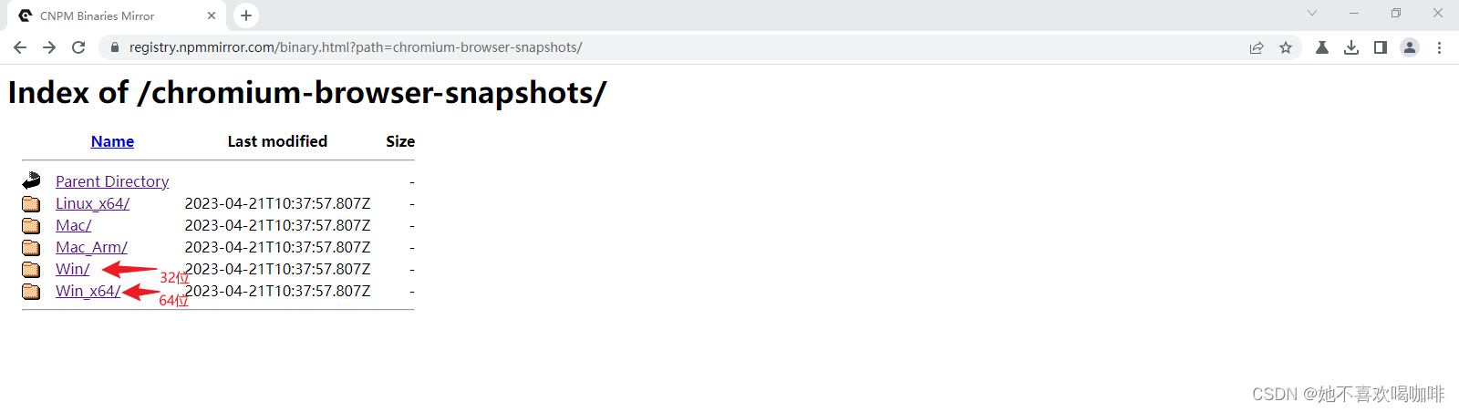 Chromium 下载_chromium下载-CSDN博客