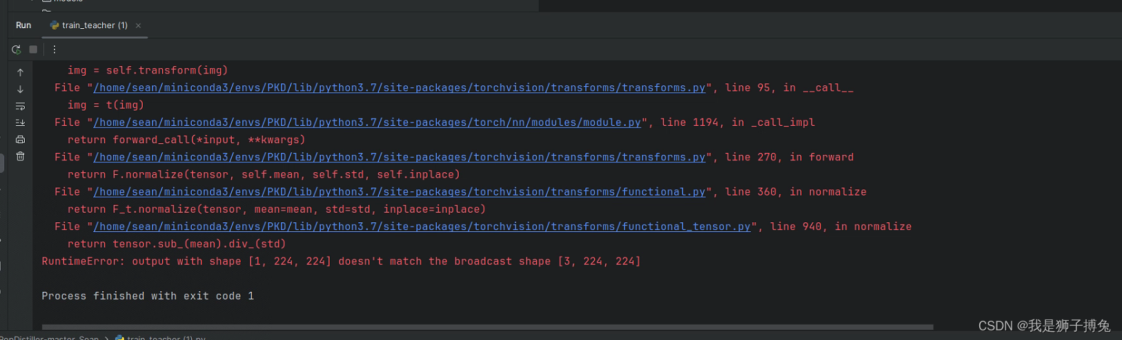 caltech数据集读取图片报错RuntimeError: output with shape [1, 224, 224] doesn‘t match the broadcast shape ...