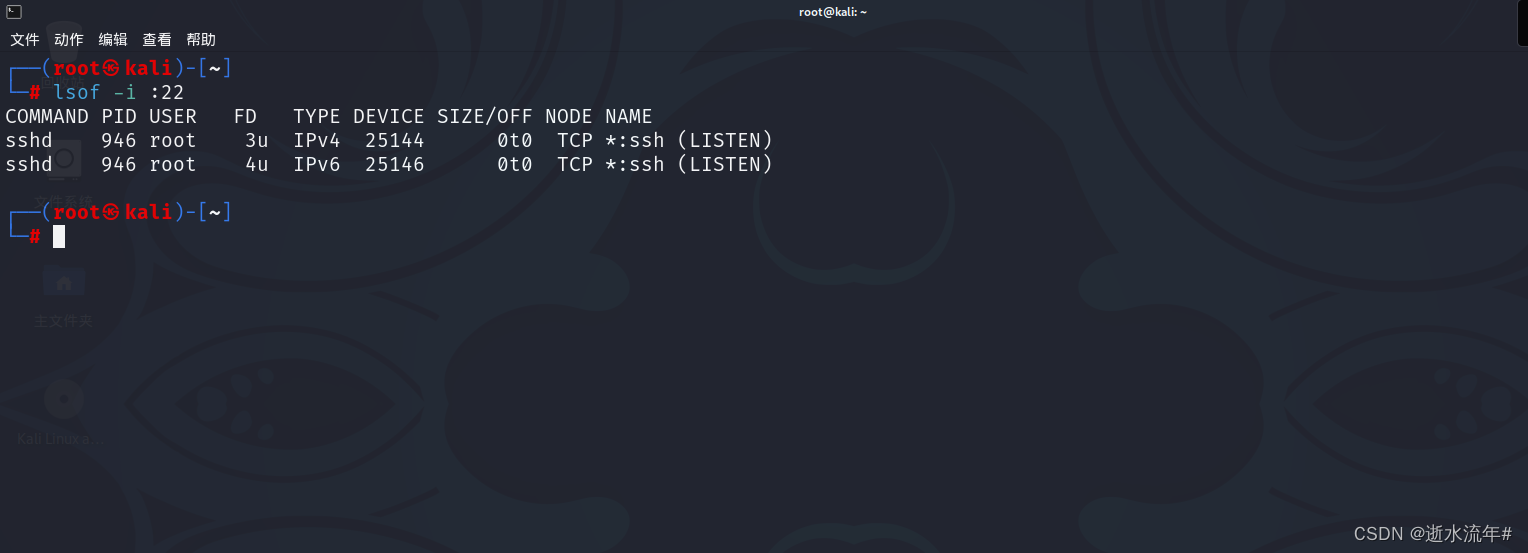 kali-liunx SSH服务（开启与开机自启动）_kali ssh开机启动-CSDN博客