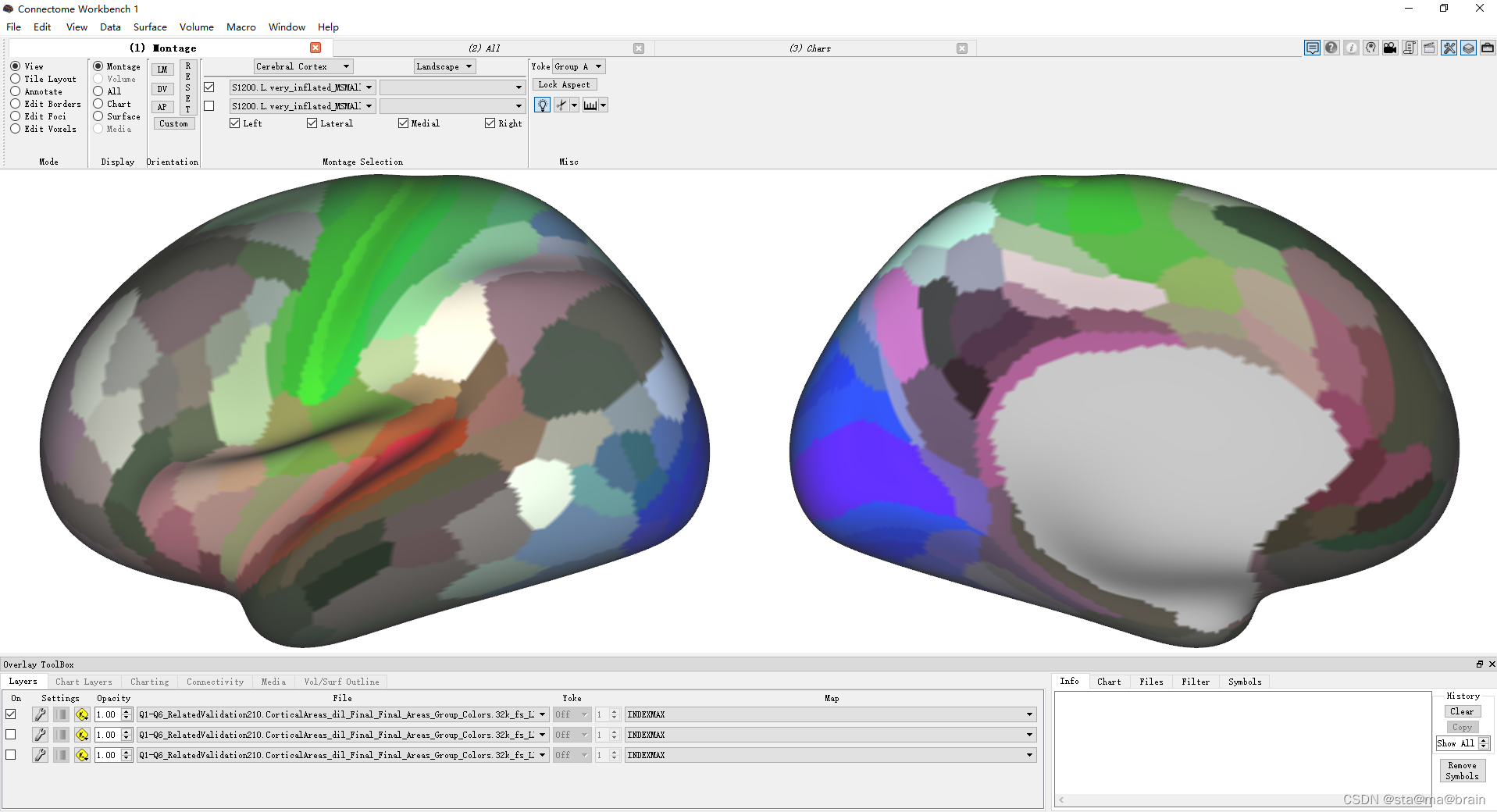 多模态脑区细分图谱 HCP-MMP v1.0, Glasser et al. 2016 皮层和皮下区域，简写和全称对应关系_hcp图谱-CSDN博客