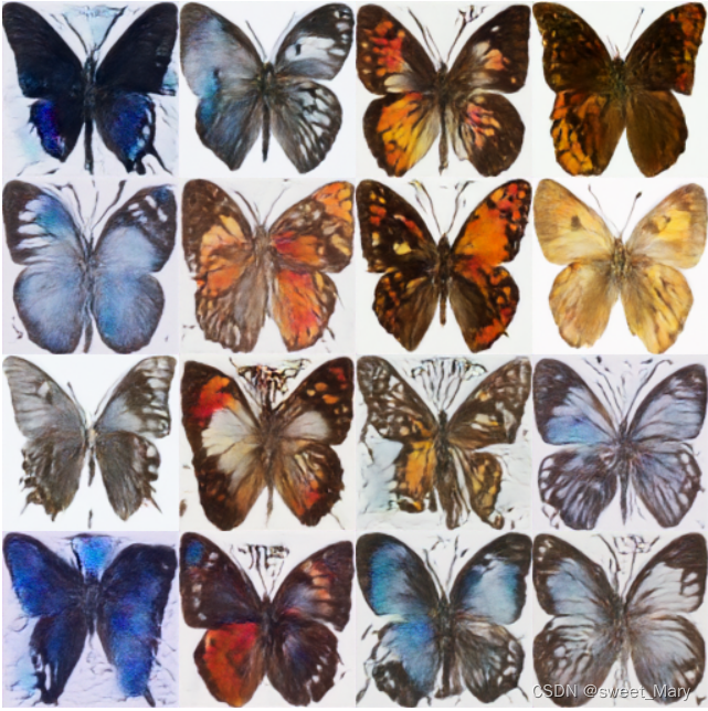训练扩散模型---史密森尼蝴蝶数据集_butterflies-128-CSDN博客