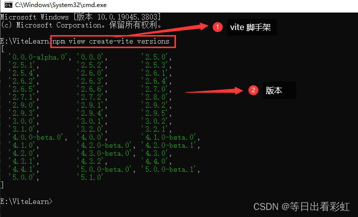 Vite 创建 Vue3 项目(完整)_vite创建vue3项目-CSDN博客