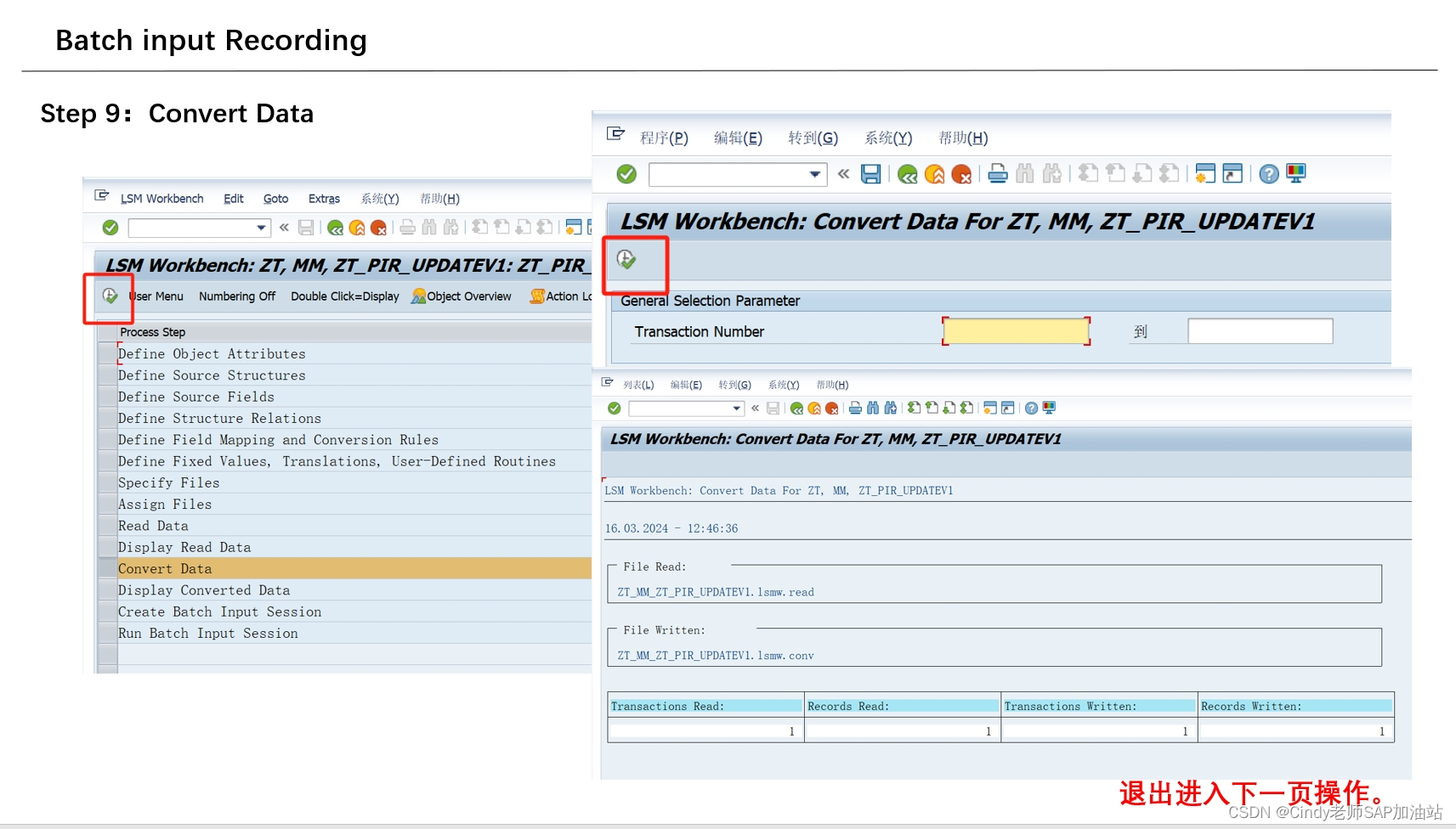 LSMW 功能展示二•Batch input Recording_lsmw可以批量修改-CSDN博客