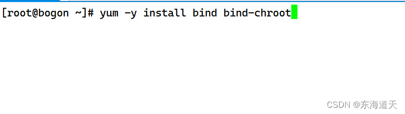 Linux下配置bind与bind-chroot服务-CSDN博客