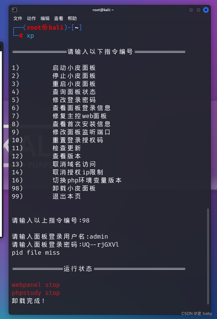 kali卸载phpstudy_如何卸载kali linxu-CSDN博客