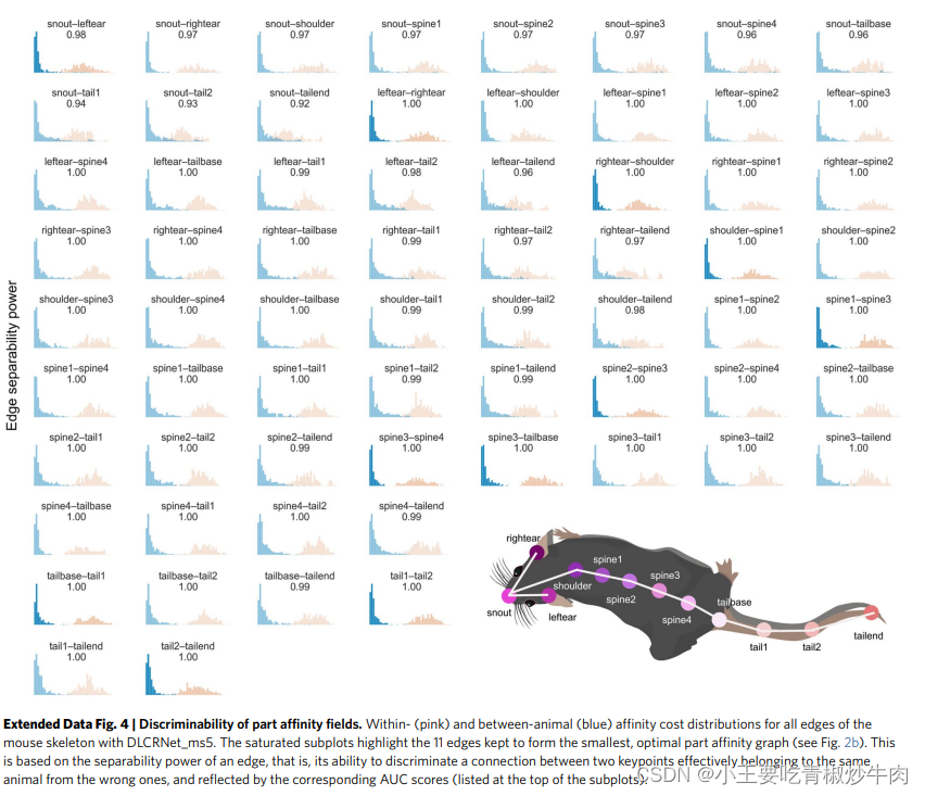 《Multi-animal pose estimation, identification andtracking with DeepLabCut》—基于DeepLabCut的多动物姿态估计 ...