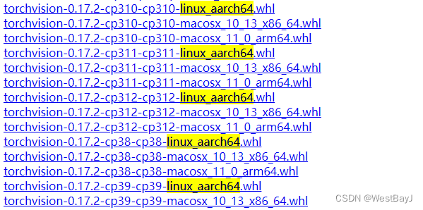Nvidia Jetson Orin NX（二）环境配置_jetson orin安装torchvision-CSDN博客