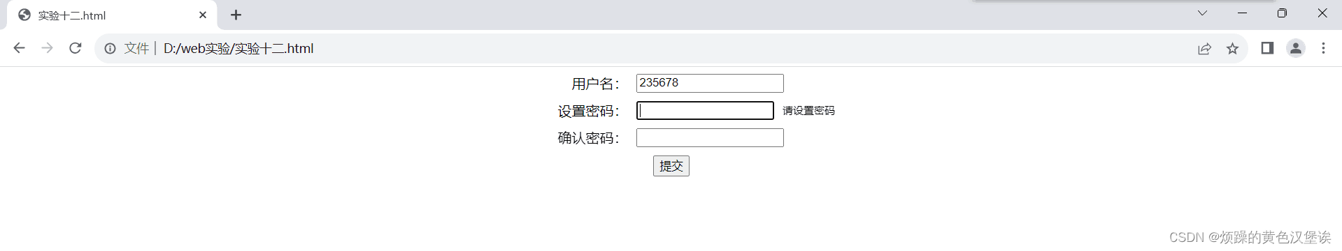 Web实验十二 Javascript事件web确认密码的代码 Csdn博客