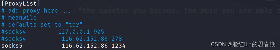 frp内网穿透(socks隧道)_frp配置ini实现soket5-CSDN博客