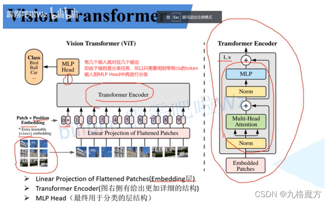 ViT学习笔记1 | 图文和代码讲解&相关专利框架借鉴_vit模块的代码-CSDN博客