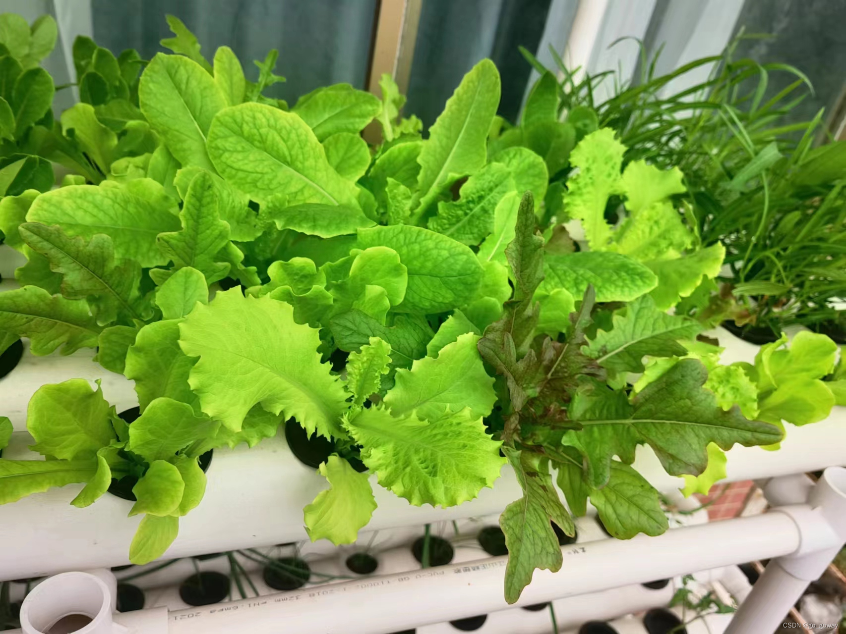 Arduino各类传感器笔记esp32s3n16r8引脚图详细解释 Csdn博客