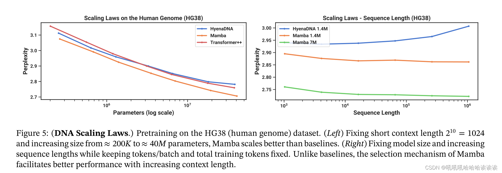 Mamba Linear Time Sequence Modeling With Selective State Spaces Csdn博客