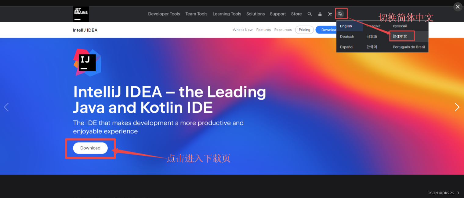 IDEA开发工具的安装和使用_idea开发工具怎么使用-CSDN博客