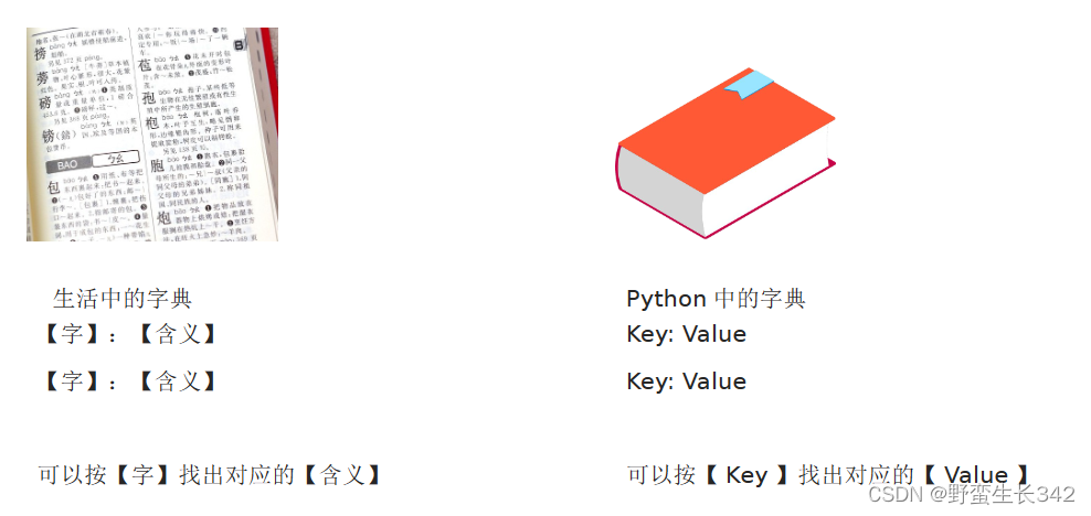 Python入门——数据容器(list 列表 、 Tuple 元组 、 Str 字符串 、 Set 集合 、 Dict 字典 )python中列表元组字符串 2612