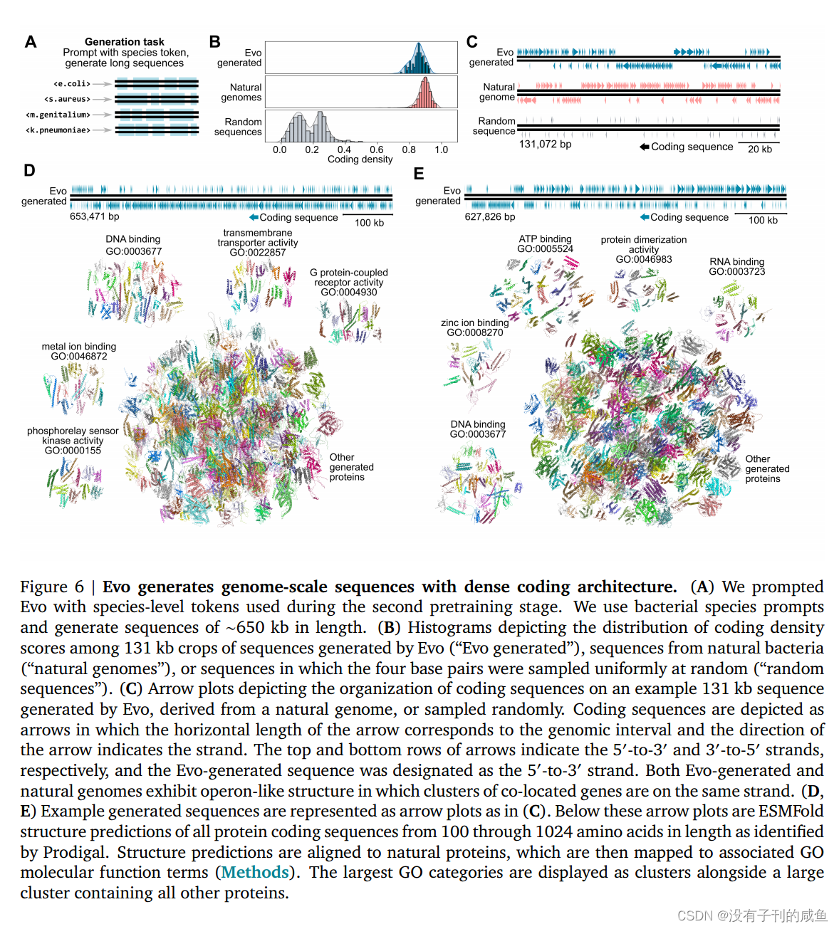 论文阅读笔记(三)——EVO:Sequence modeling and design from molecular to genome scale with Evo-CSDN博客