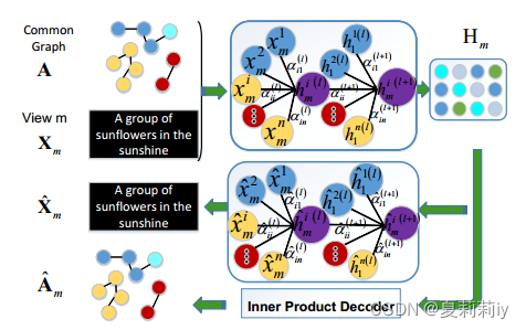 [论文精读]Multi-View Attribute Graph Convolution Networks for Clustering-CSDN博客
