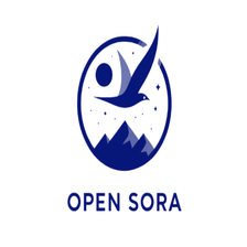 1 - Open-Sora入门学习(基于hpcaitech代码)_autoencoderkltemporaldecoder-CSDN博客