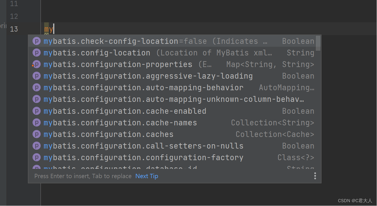 application.properties是开关按钮且无提示_application.properties叶子图标变成了开关-CSDN博客